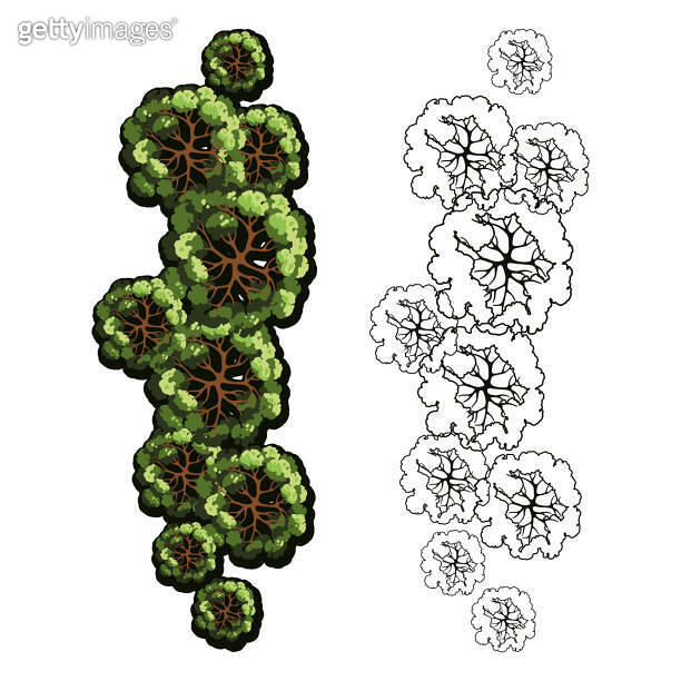 Group of trees for architectural floor plans. Entourage design. Various ...