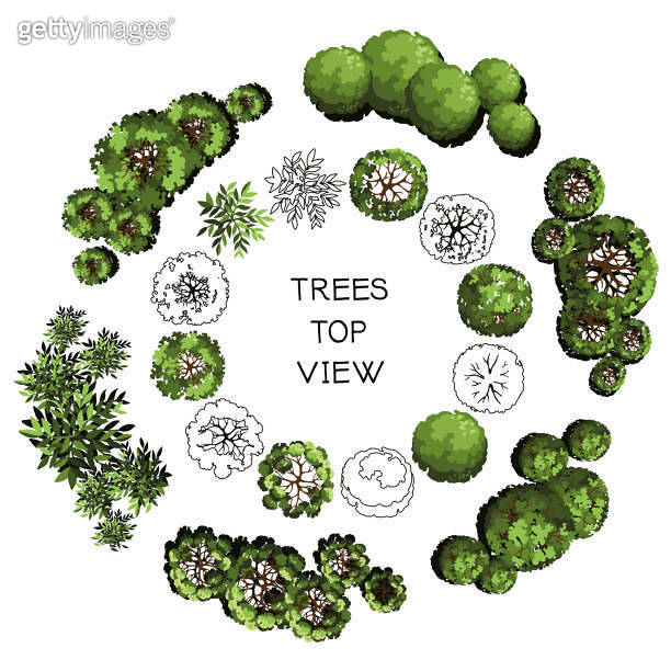 Tree for architectural floor plans. Entourage design. Various trees, bushes, and shrubs, top ...