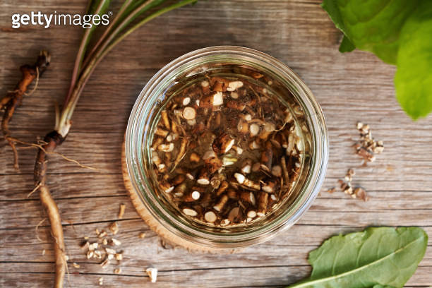 Preparation of homemade tincture from fresh dandelion root, top view ...