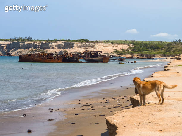 Shipwreck Beach In Panguila In Angola 이미지 (1816682224) - 게티이미지뱅크