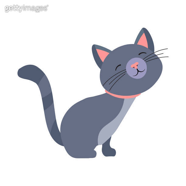 Cute cat sitting in funny adorable posture to purr, gray kitten with ...