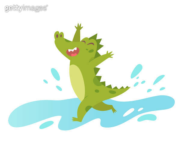 Cute crocodile running through water of summer rain puddles, crazy ...