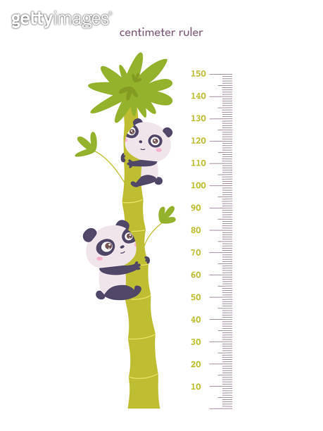 Kids height ruler in centimeters with palm and pandas for growth ...