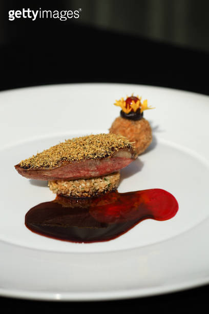 Michelin star gourmet dish with pigeon duck fillet, foie gras and berry ...