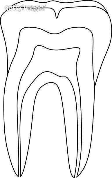 Coloring page with human tooth. Structure of tooth (molar) in cross ...