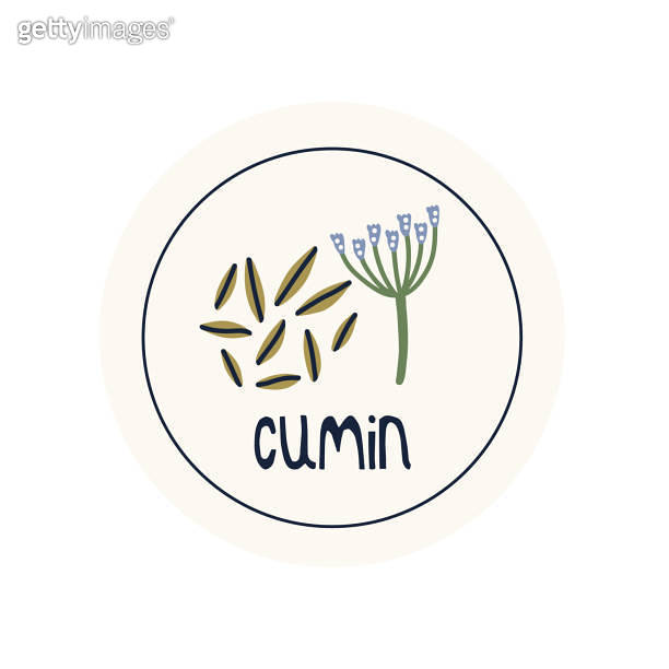 Hand Drawn circle illustrated sticker label spice herb cumin ...