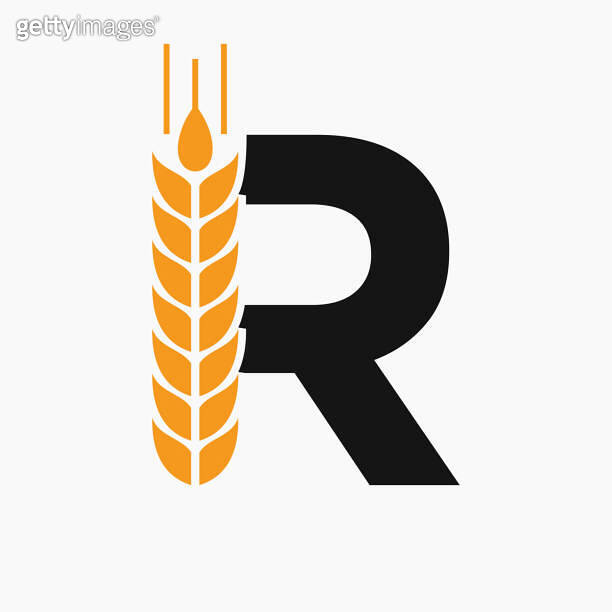 Letter R Wheat Logo For Agriculture Symbol Vector Template (1598054088 ...
