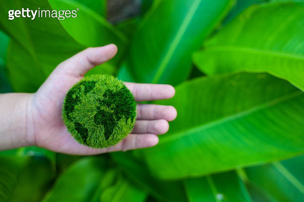 Hand holding a globe shaped ball net zero and carbon neutral concept ...