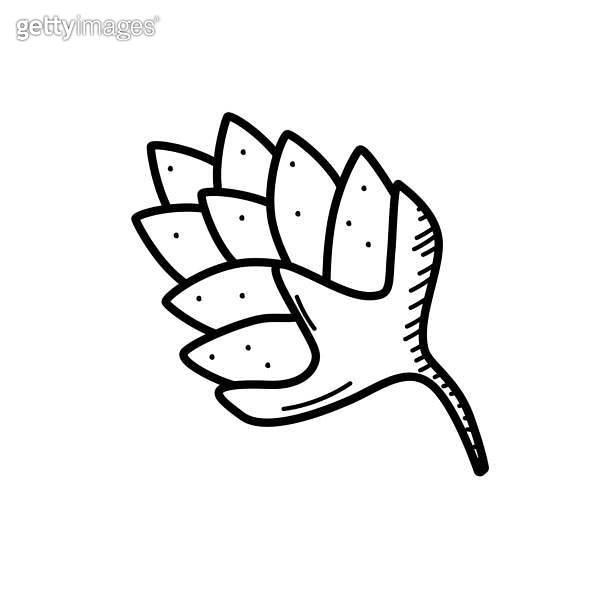 Hop plant icon doodle cartoon. Vector illustration of a hop fruit ...