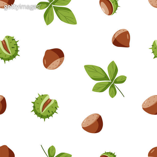 Seamless pattern Chestnut set vector illustration. Cartoon drawing of ...