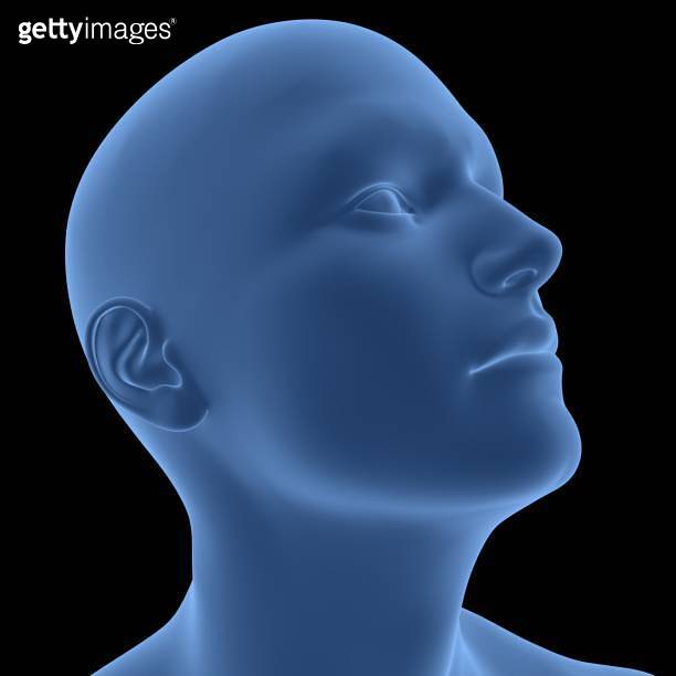 Human Body Face Pose Anatomy 이미지 (1765105212) - 게티이미지뱅크