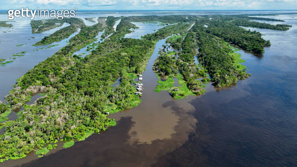 Stunning landscape of Amazon Forest at Amazonas State Brazil. 이미지 ...