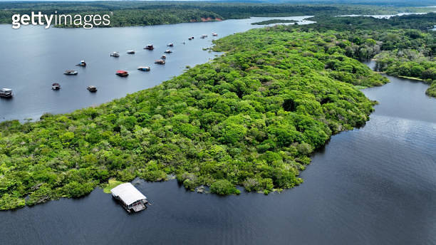 Stunning landscape of Amazon Forest at Amazonas State Brazil. 이미지 ...