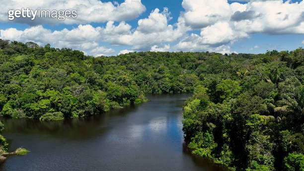 Stunning landscape of Amazon Forest at Amazonas State Brazil. 이미지 ...