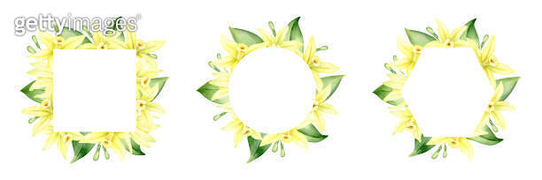 Set of frames of yellow vanilla flowers. Wreaths with tropical exotic ...