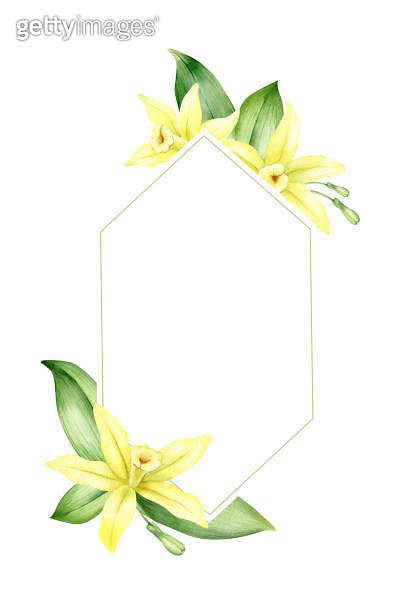 Frame of yellow vanilla flowers. Wreath with tropical exotic flowers ...