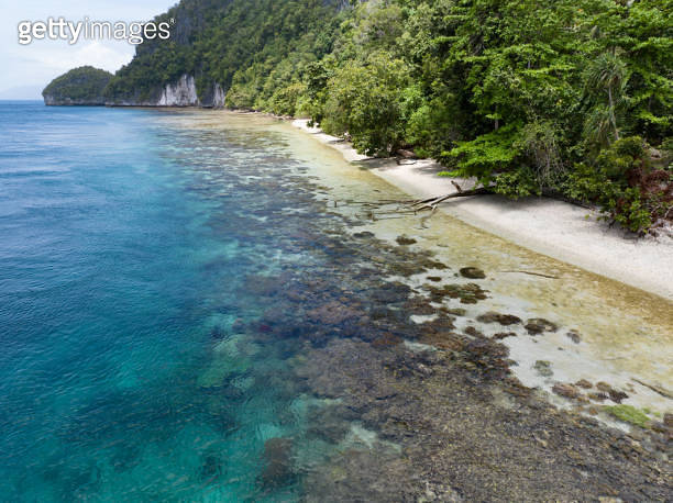 Shallow Coral Reef at Edge of Scenic Tropical Island 이미지 (1786248311 ...