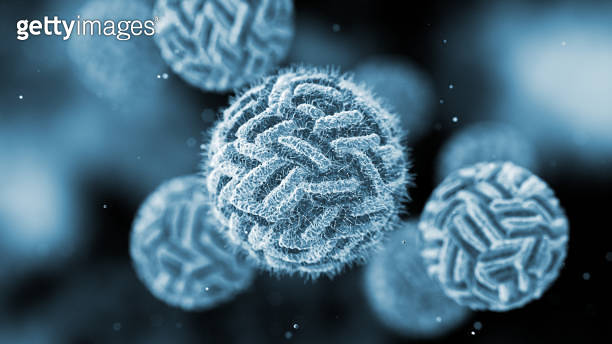 Dengue Virus Cells. Microscope Slide 이미지 (1556334202) - 게티이미지뱅크