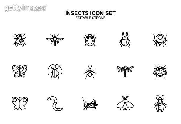 Insects vector icon set. Editable stroke. Insect illustration. Bee, fly ...