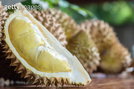 Durian riped and fresh ,durian peel with yellow colour on wooden table. (1454831132) - 게티이미지뱅크