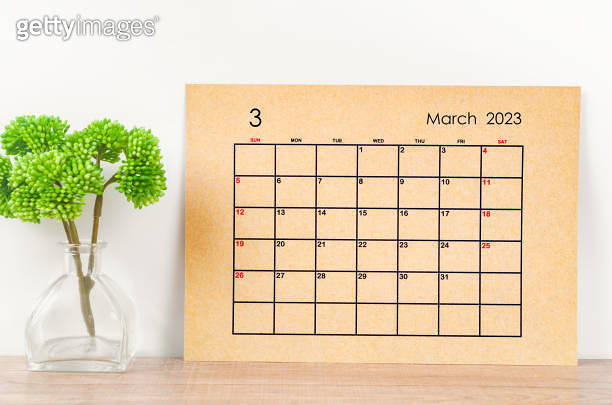 A Brown March 2023 Monthly calendar for 2023 year with plant pot on ...