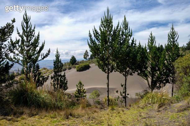 Dunes in Palmira desert in Ecuadorian Andes 이미지 (1800438211) - 게티이미지뱅크