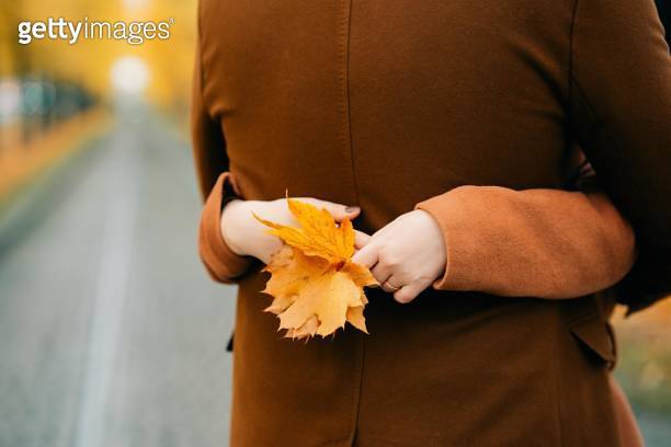 Woman's hands hug a man and hold an autumn leaf 이미지 (1806972176) - 게티이미지뱅크