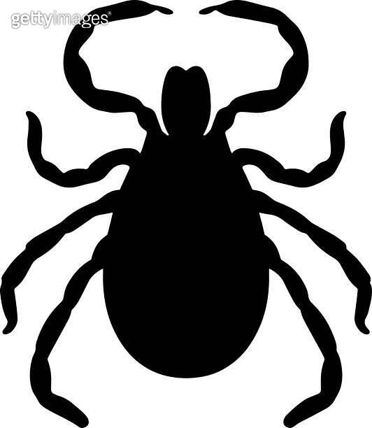 Insect tick silhouette. 이미지 (1750191144) - 게티이미지뱅크