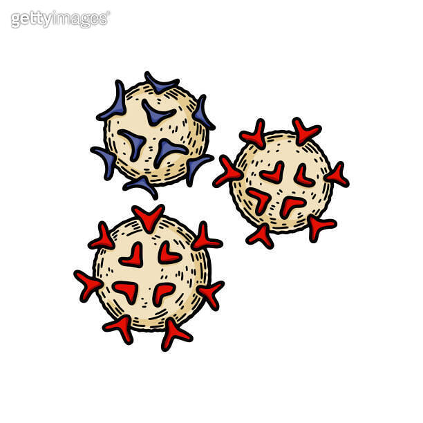 Lymphocytes white blood cells isolated on white background. Hand drawn ...