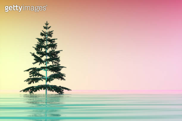 Pine tree over water surface, Christmas Tree New Year Background 이미지 ...
