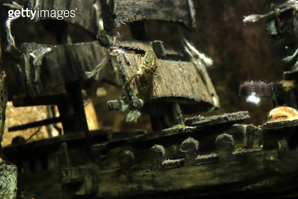Sunken decorative ship among stone rocks with marble cancer aboard 이미지 ...