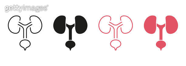 Human Urinary System Line and Silhouette Color Icon Set. Urology ...