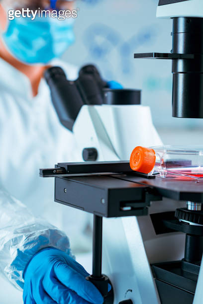 Life science researcher discovers new insights using a microscope 이미지 ...