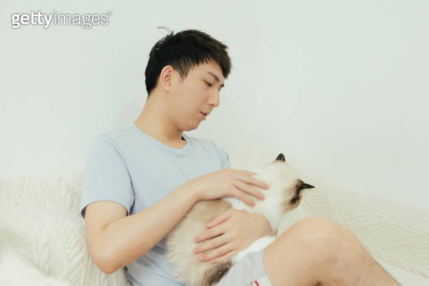 A solitary man keeps a Brador cat and enjoys life at home - harmonious ...