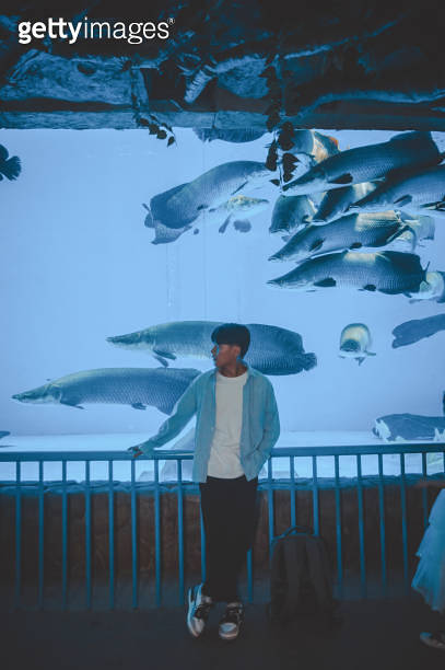 A man leans against a railing and observes fish in the aquarium ...
