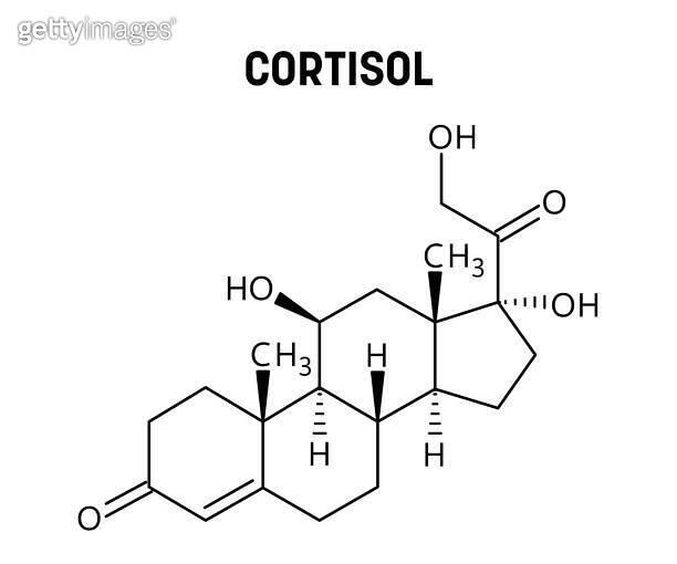Cortisol structural formula of molecular structure (1664048466) - 게티이미지뱅크