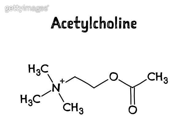 Acetylcholine structural formula of molecular structure 이미지 (1664049023 ...
