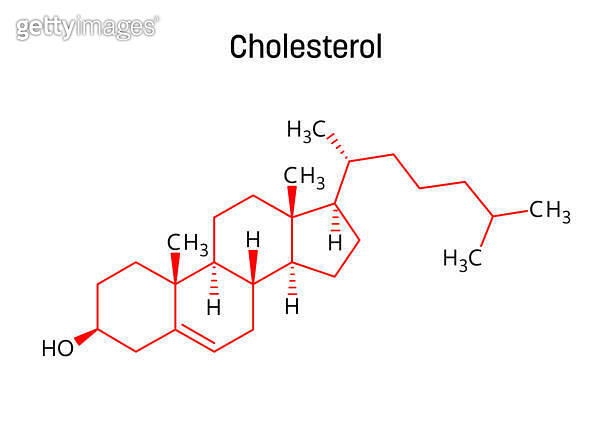 Cholesterol Structural Formula Of Molecular Structure 이미지 1664049849
