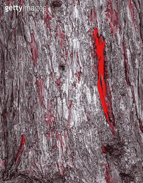 Vector illustration of Larix decidua or European Larch bark texture ...