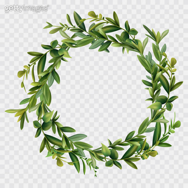 Basil wreath 3d. Fragrant plant branch, round frame, kitchen design ...