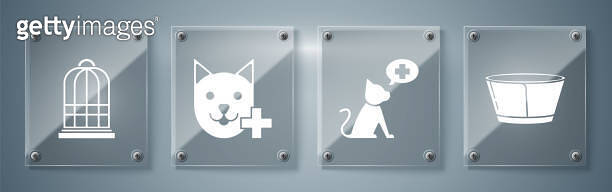 Set Protective cone collar, Veterinary clinic symbol, Veterinary clinic ...