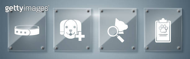 Set Clipboard with medical clinical record pet, Veterinary clinic ...