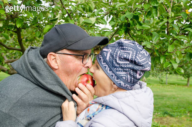 Senior couple biting in same apple 이미지 (1729878673) - 게티이미지뱅크