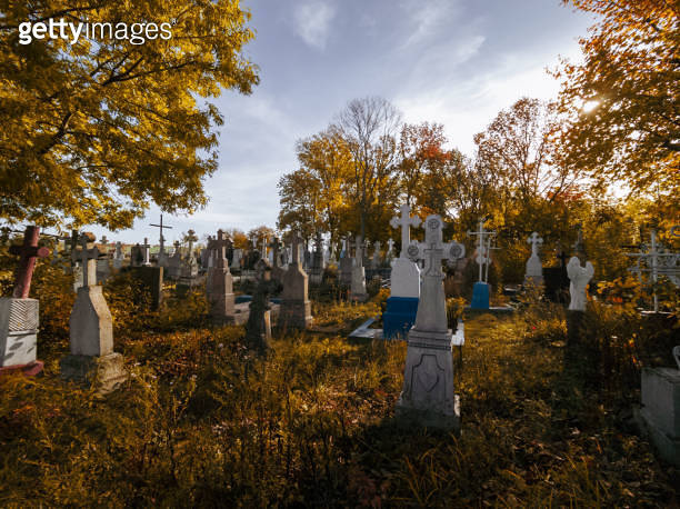 Fairy tale cemetery in golden tones. Graves and crosses among the trees ...