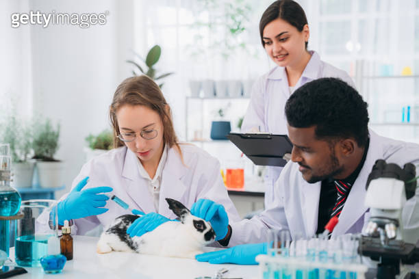 Scientist and Pharmacist Conducting Chemical Research and Animal ...