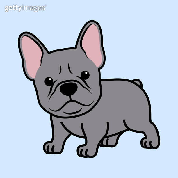 Cute french bulldog puppy blue color cartoon, vector illustration 이미지 ...