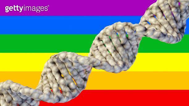 DNA helix in the rainbow flag (1758935985) 일러스트, 무료 일러스트 - 게티이미지뱅크