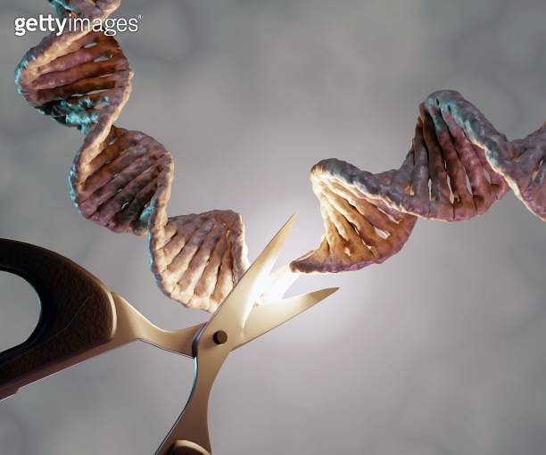Illustration of DNA strand with molecular scissors 이미지 (1631236860 ...