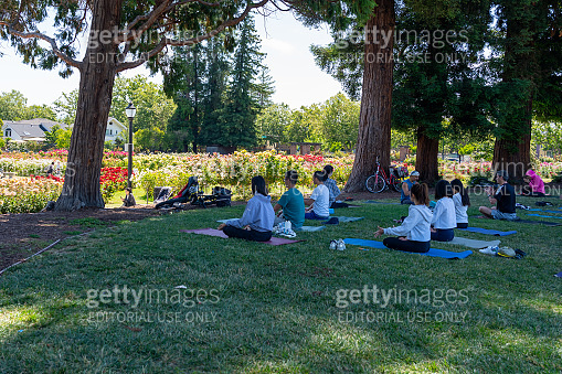 Group of People practicing meditation under trees in a garden. San Jose ...