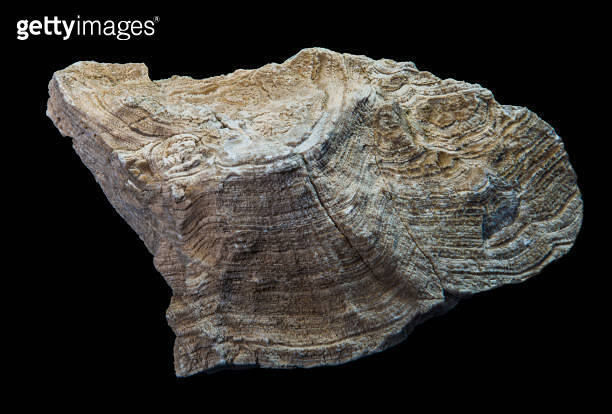 Magnified close up of a sandstone rock with terraced layers (1721299180 ...